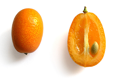 Fructe exotice lista