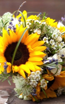 Flori exotice de gradina