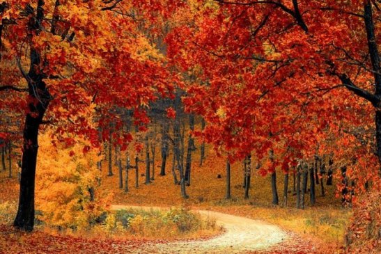 Fă acest test și află ce beauty trend se potrivește personalității tale ...